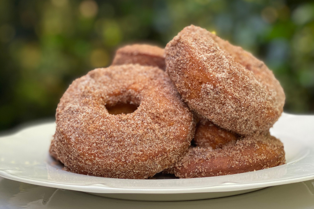 Low-Fat Yeast Free Doughnuts | Hopeful Hanna
