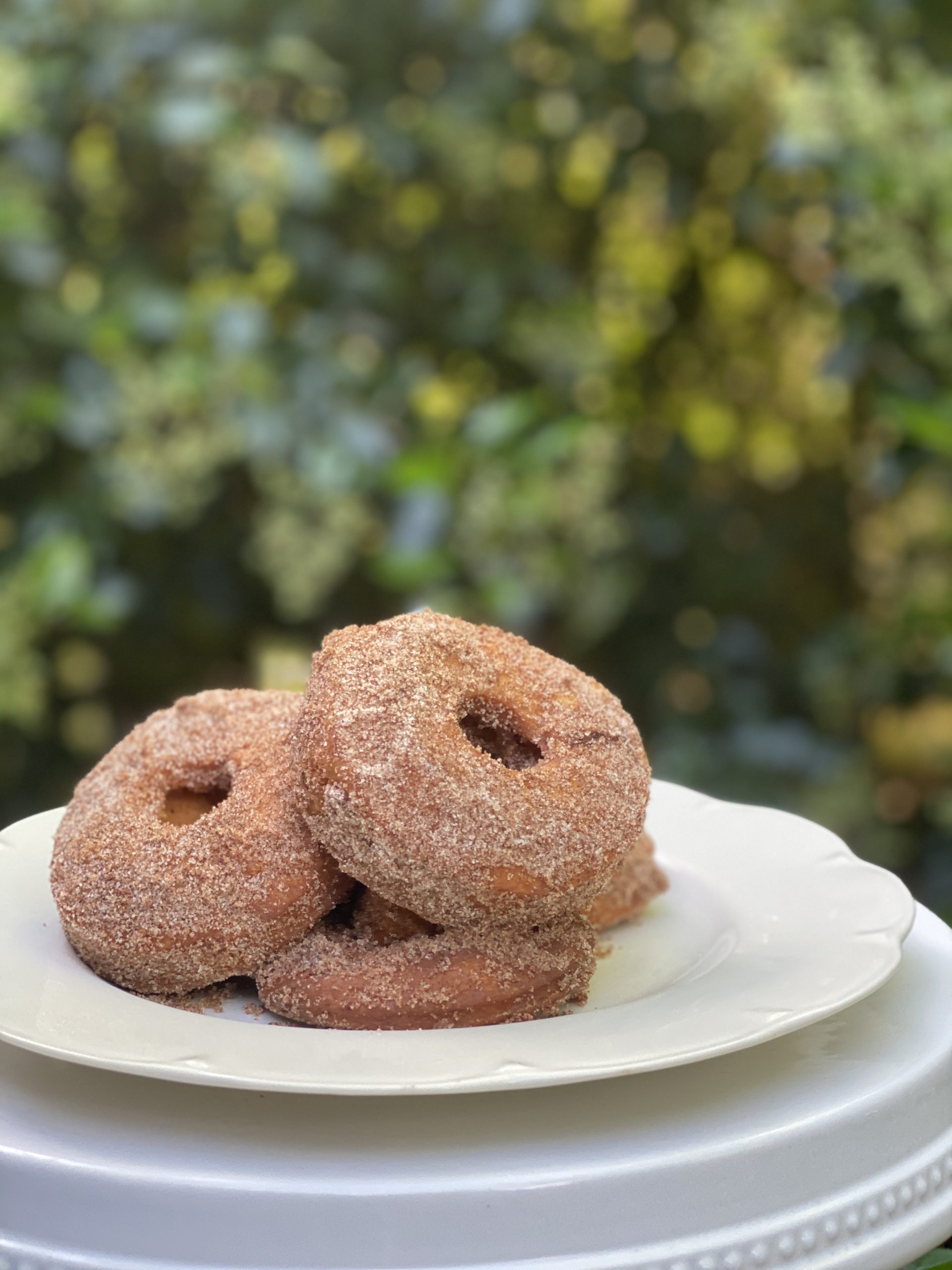 Low-Fat Yeast Free Doughnuts | Hopeful Hanna